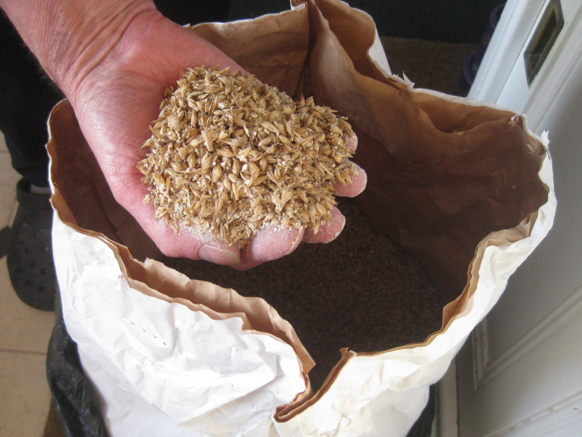 The Ancient Magic of Malt: Making Malt Sugars and Ale from Grain Using ...