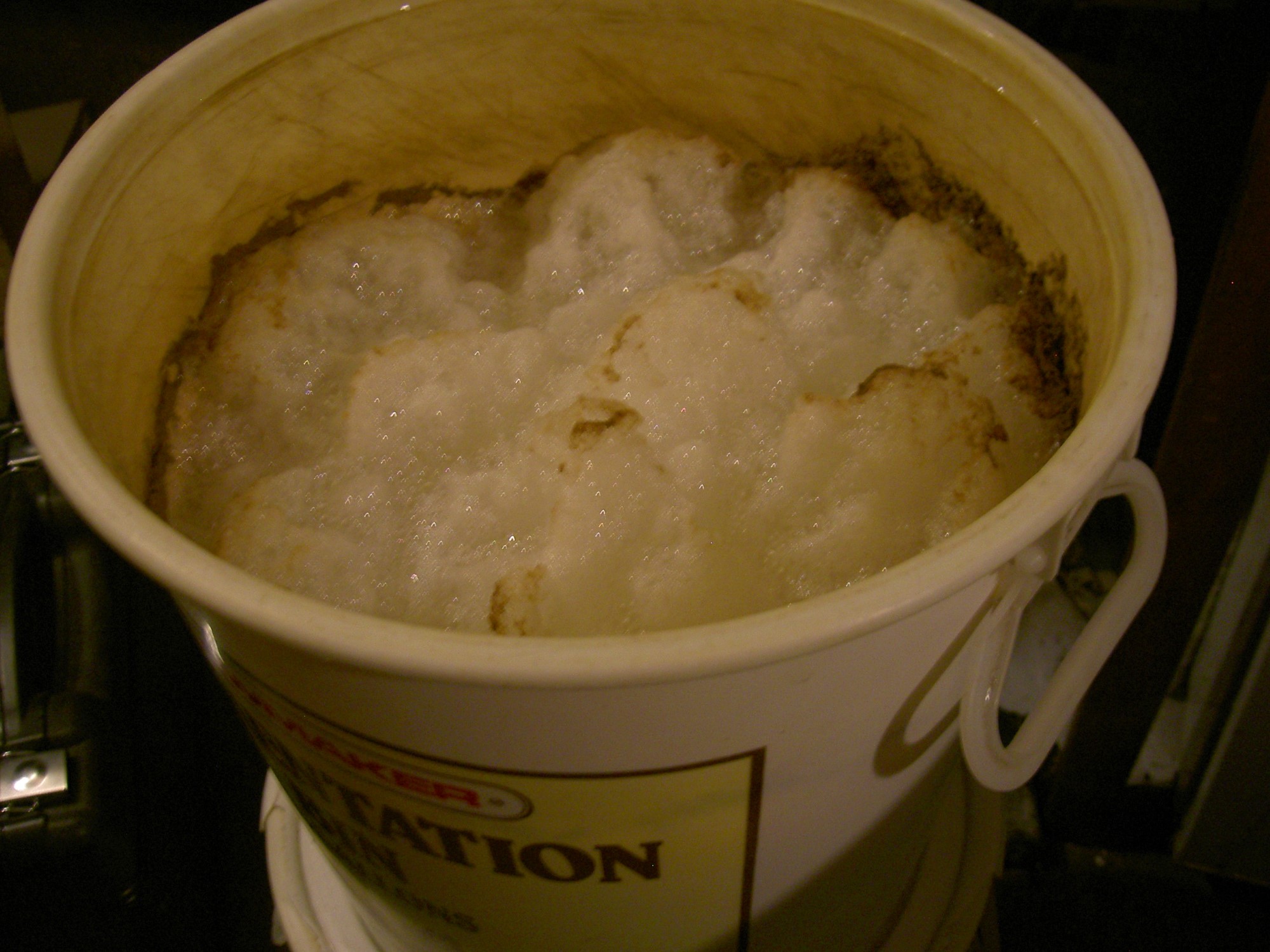 The Ancient Magic of Malt: Making Malt Sugars and Ale from Grain Using ...