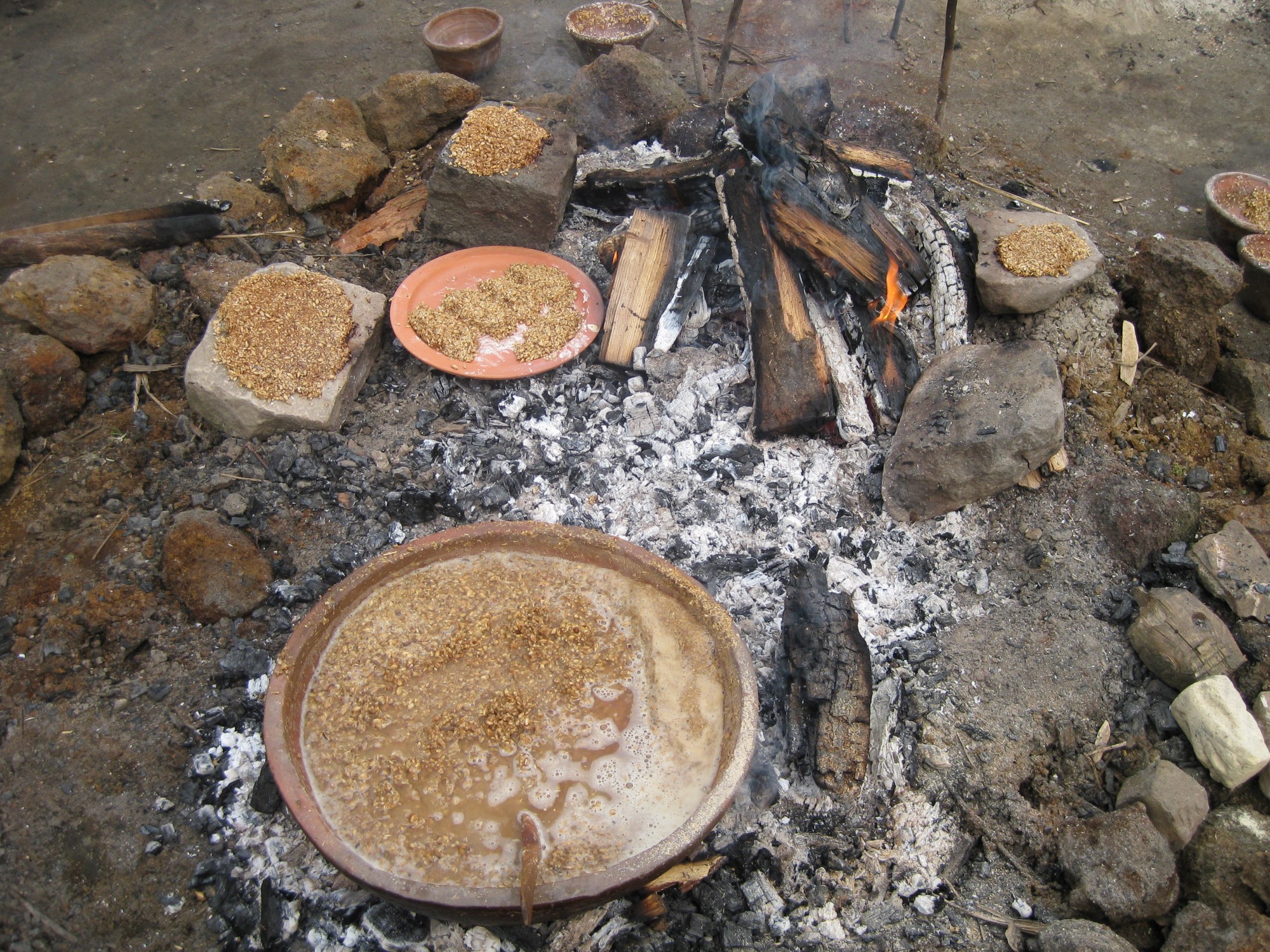 The Ancient Magic of Malt: Making Malt Sugars and Ale from Grain Using ...
