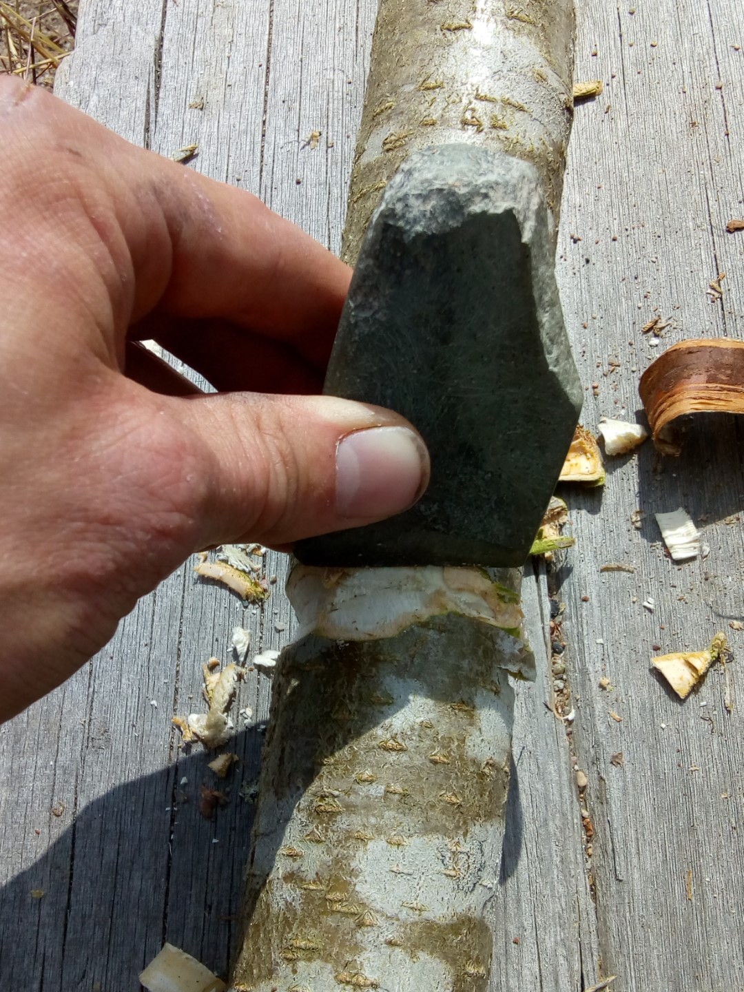 Neolithic Bow Build at Kierikki Stone Age Centre (FI) | The EXARC Journal