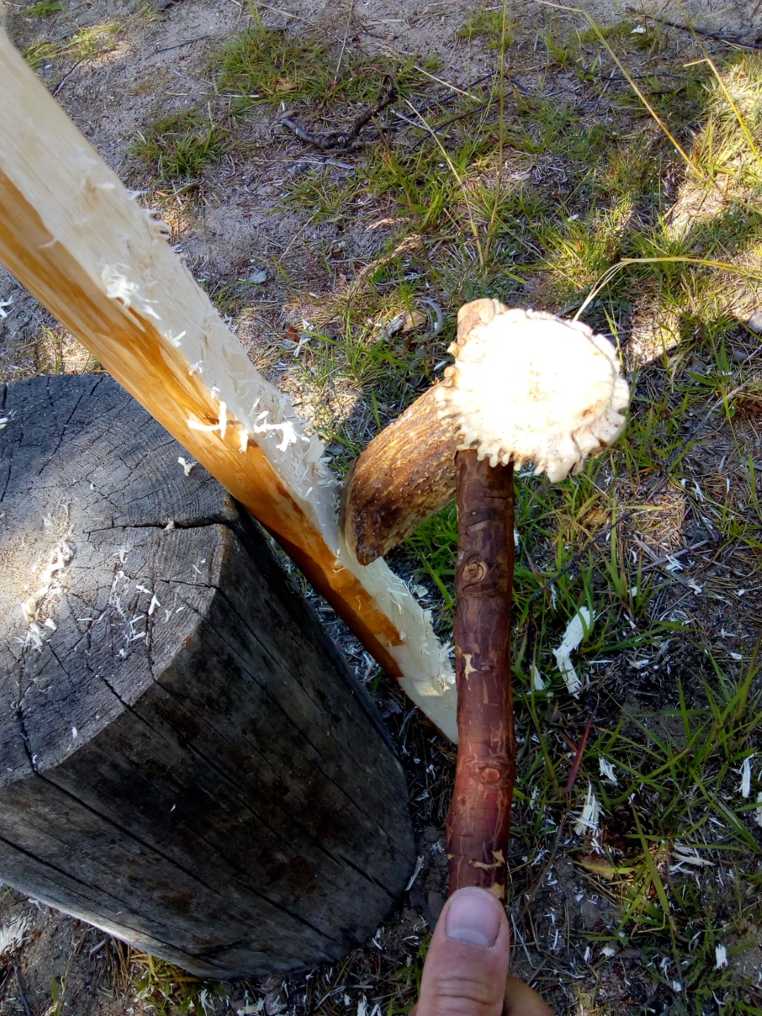 Neolithic Bow Build at Kierikki Stone Age Centre (FI) | The EXARC Journal