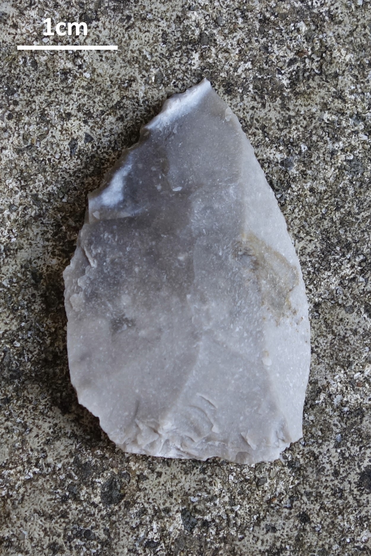 Knowing the Drill: Investigating Mesolithic Perforation Technologies ...