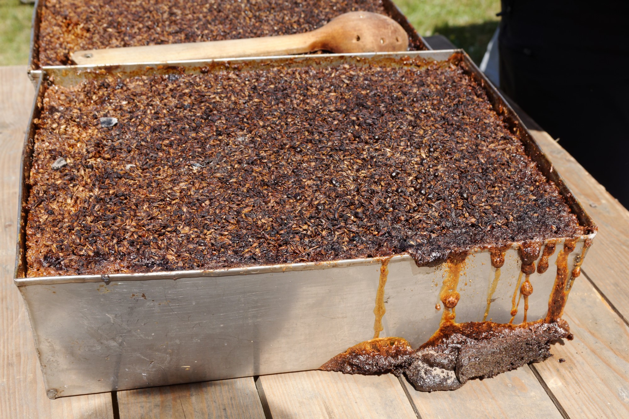 The Ancient Magic of Malt: Making Malt Sugars and Ale from Grain Using ...