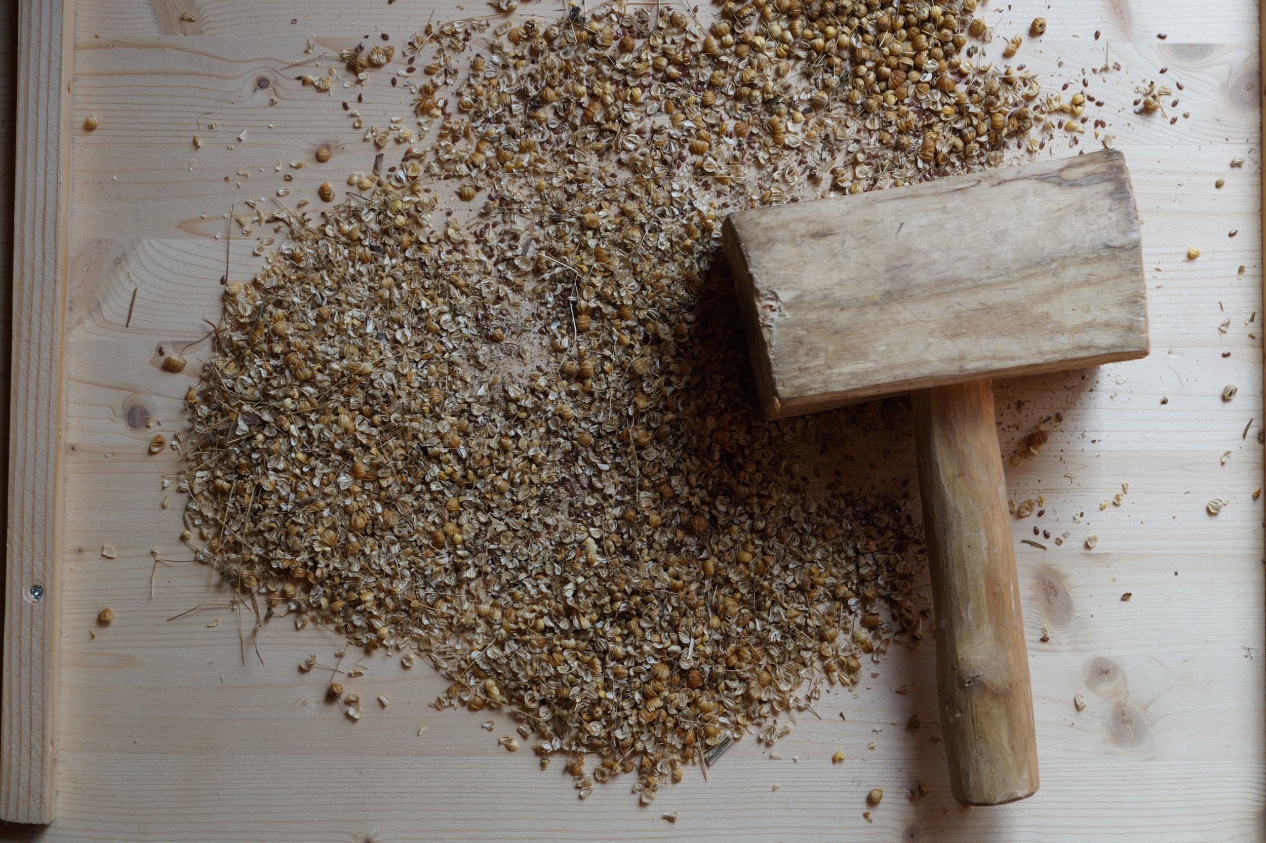 Flax Fibre Extraction Techniques in the Late Middle Ages | The EXARC ...