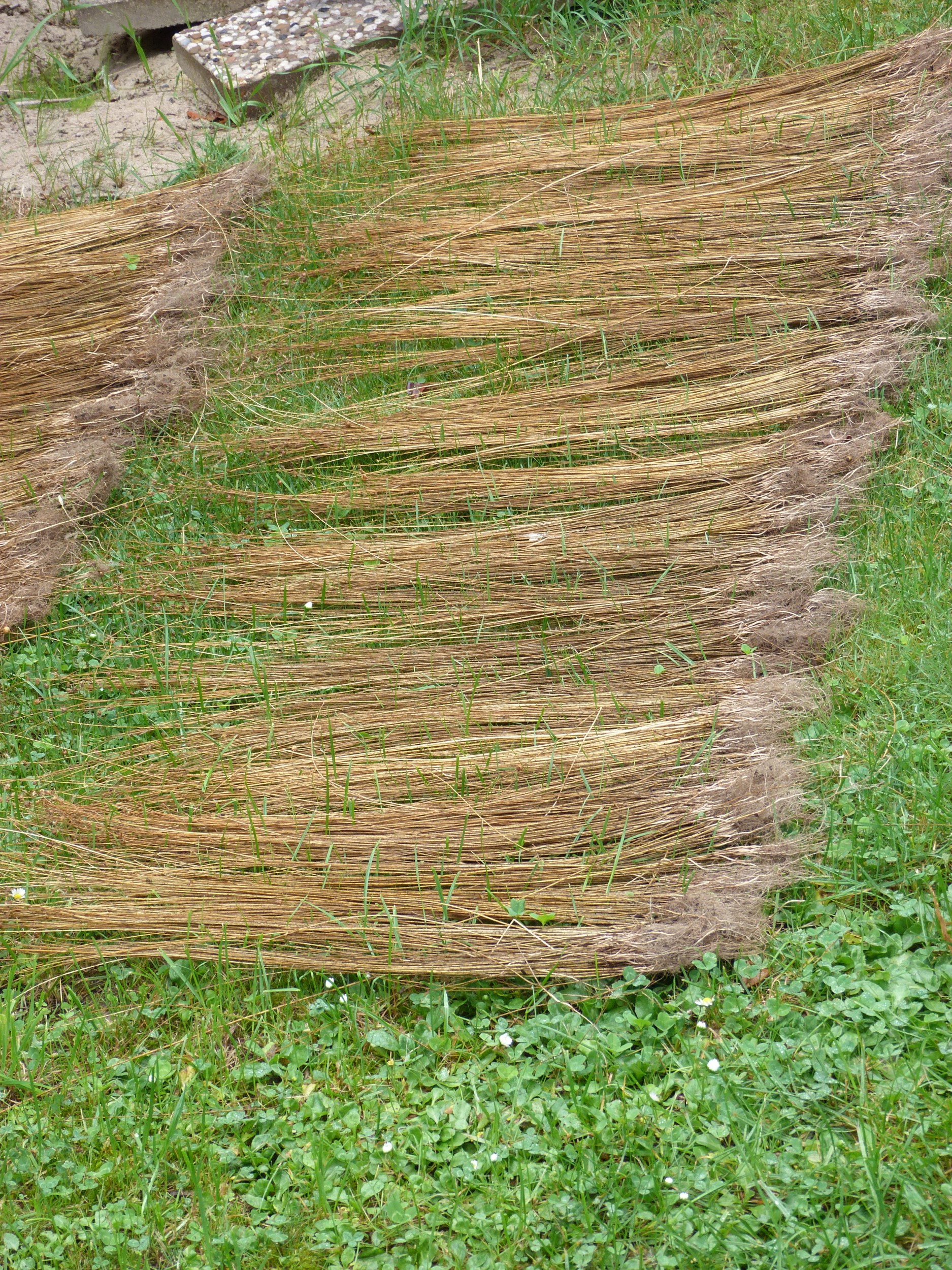 Flax Fibre Extraction Techniques in the Late Middle Ages | The EXARC ...