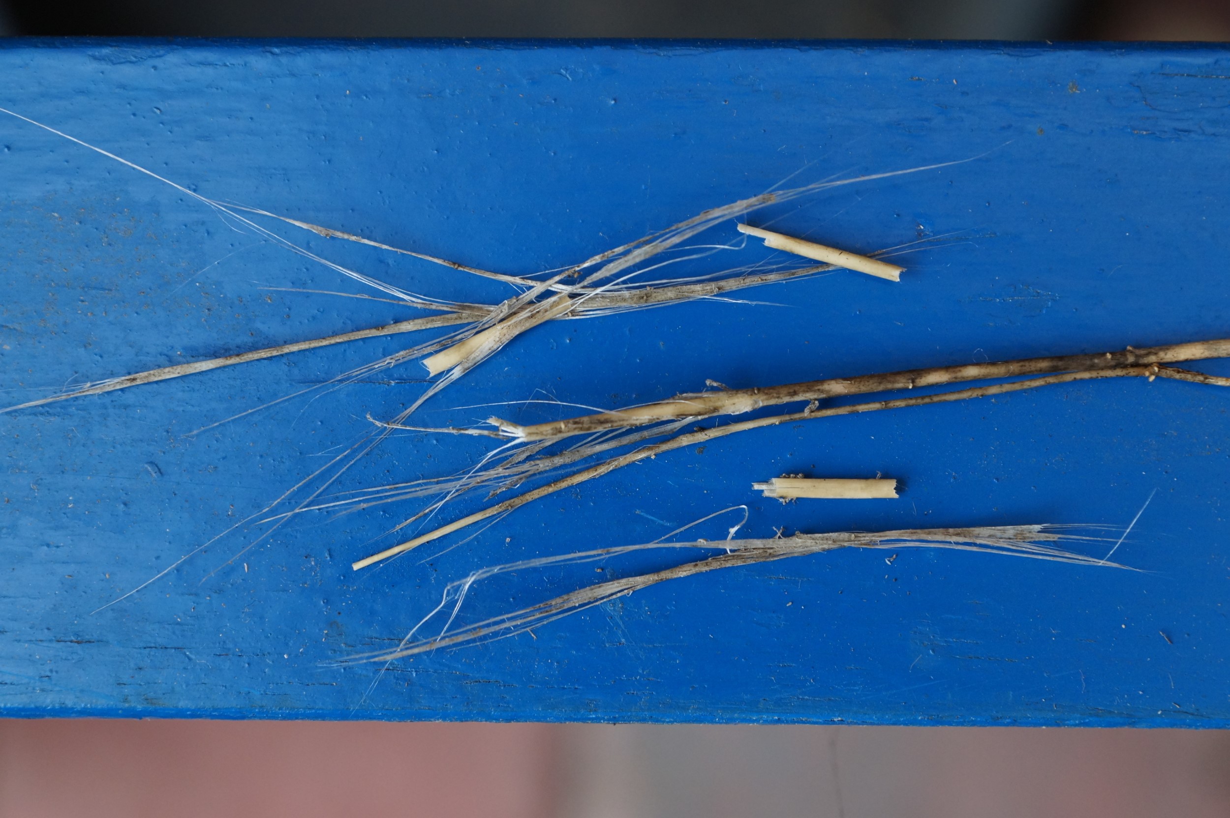 Flax Fibre Extraction Techniques in the Late Middle Ages | The EXARC ...