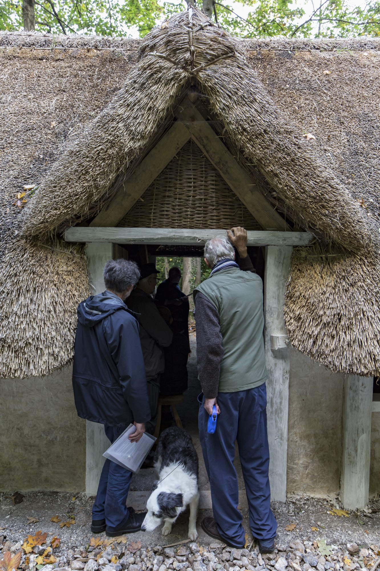 The Weald & Downland Living Museum’s Saxon Hall | The EXARC Journal