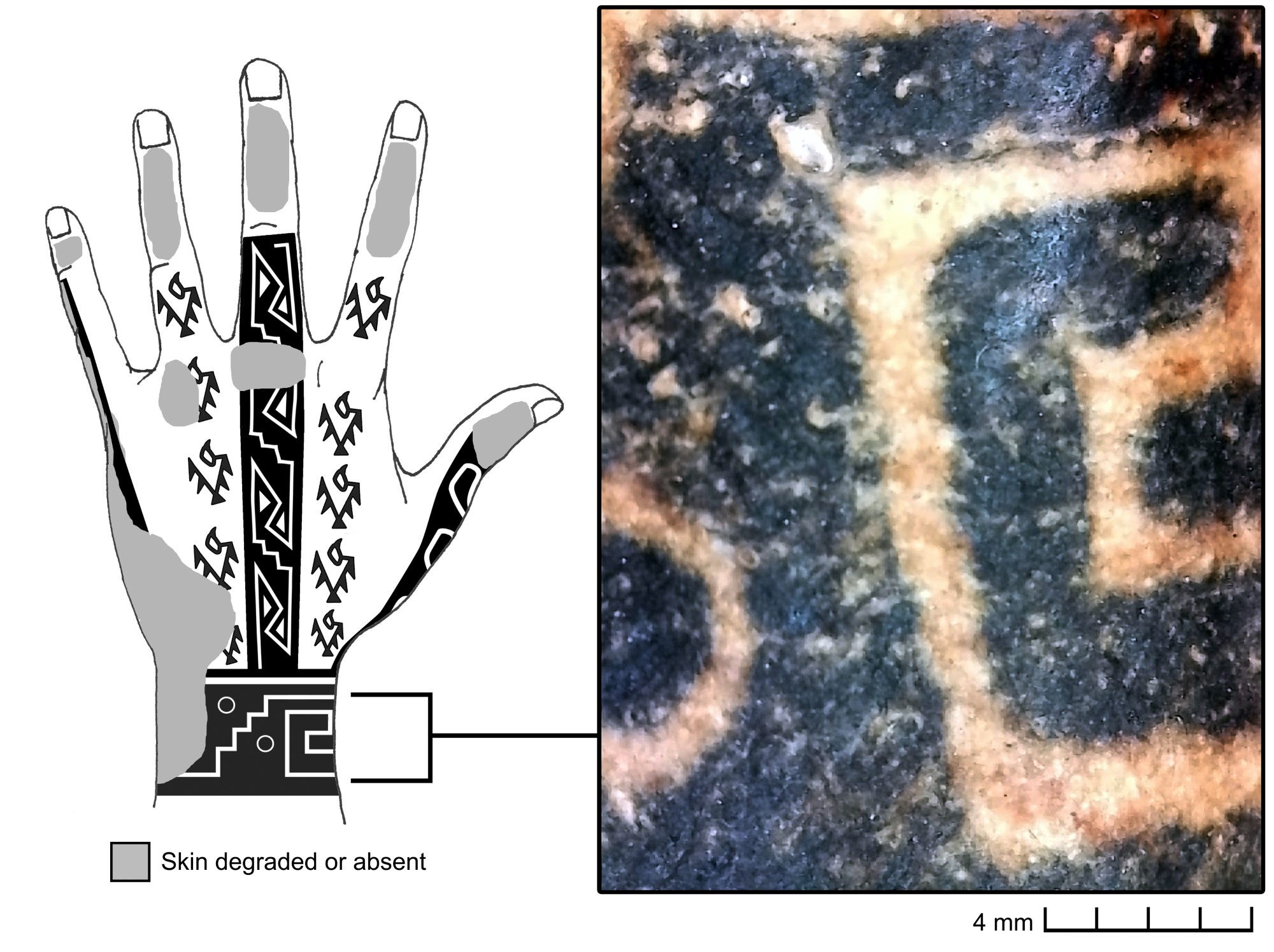 Examining the Physical Signatures of Pre-Electric Tattooing Tools and ...