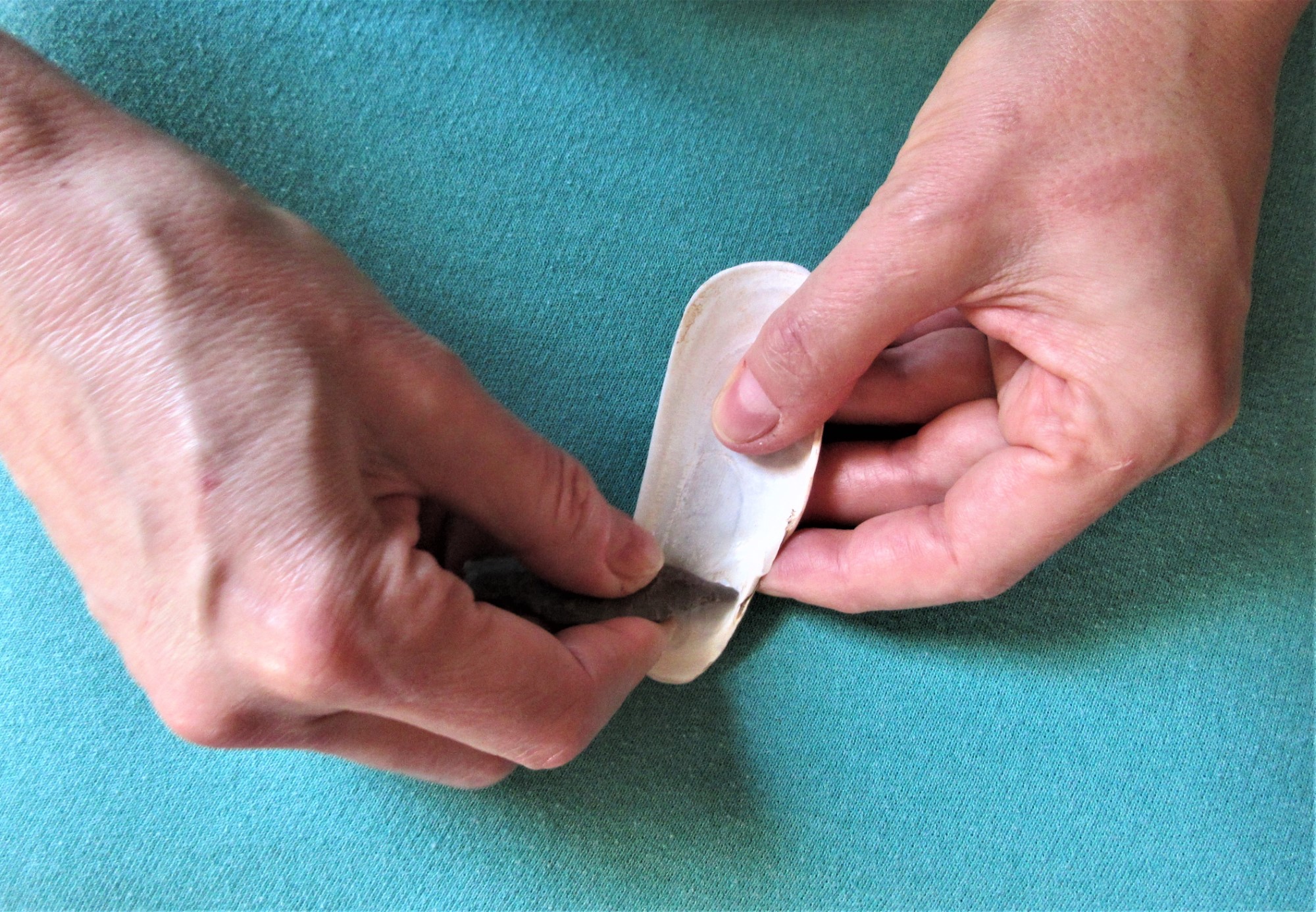 Function Follows Form: Assessing the Functionality of Shells and ...