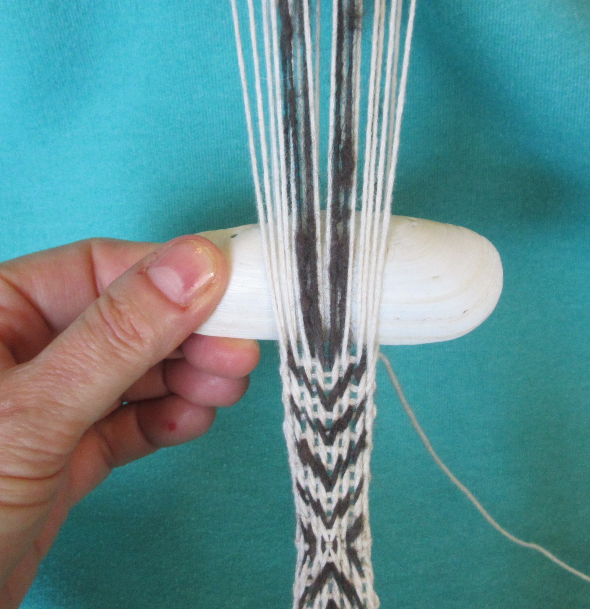 Function Follows Form: Assessing the Functionality of Shells and ...