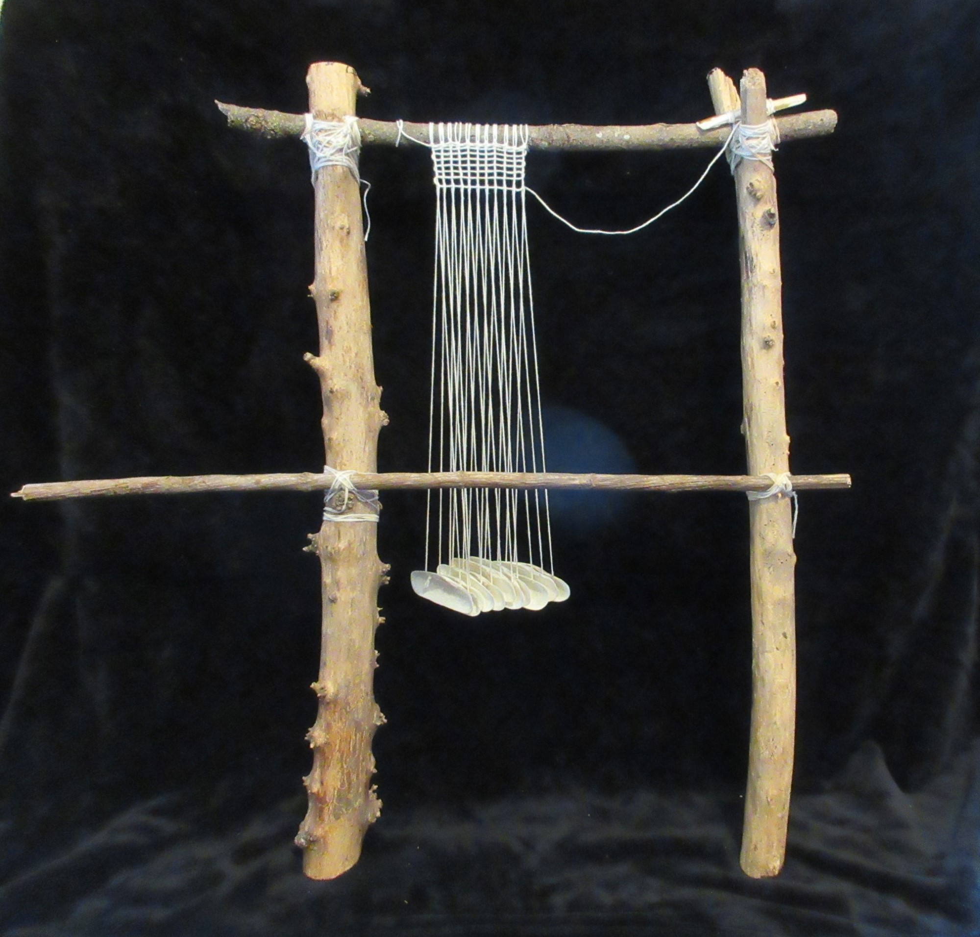 Function Follows Form: Assessing the Functionality of Shells and ...