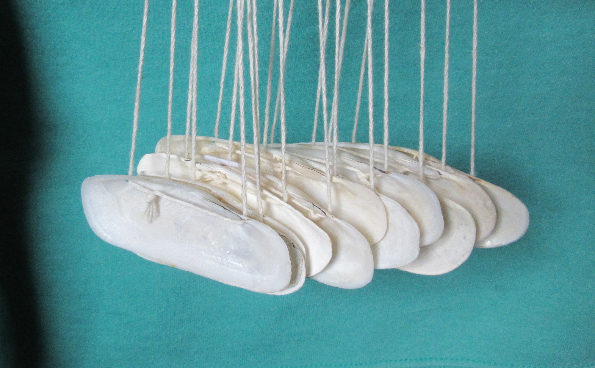 Function Follows Form: Assessing the Functionality of Shells and ...