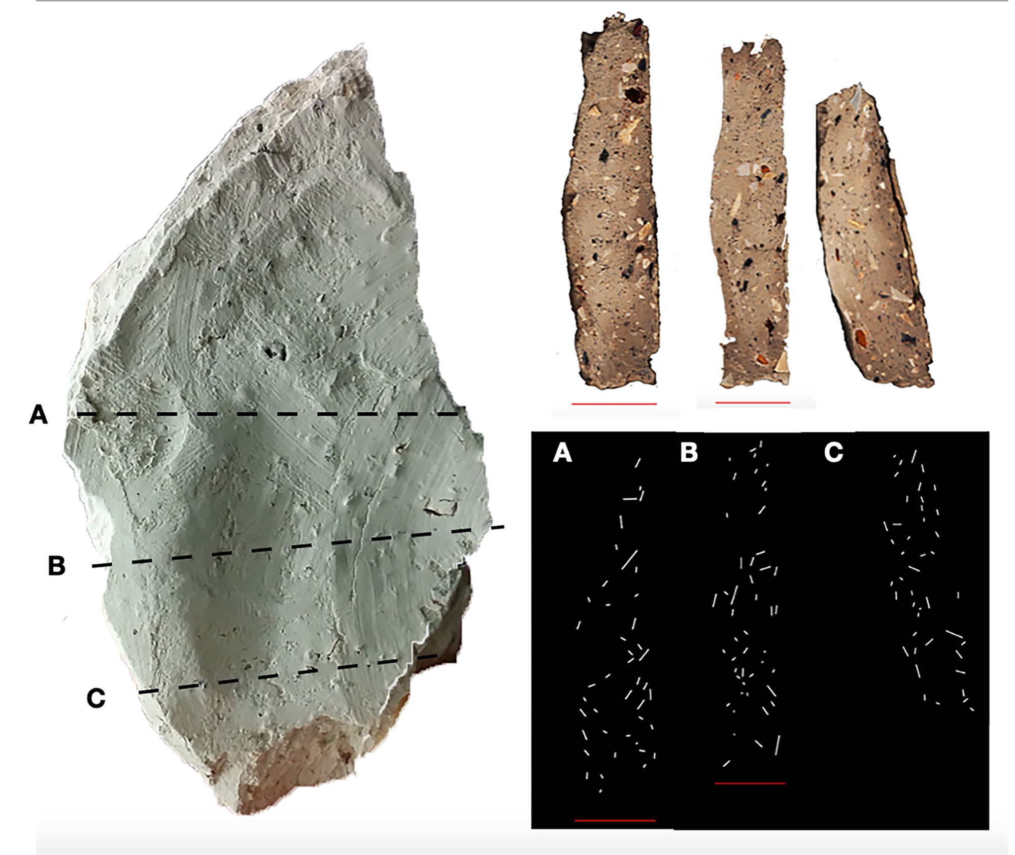 Identifying Ceramic Shaping Techniques: Experimental Results Using the ...