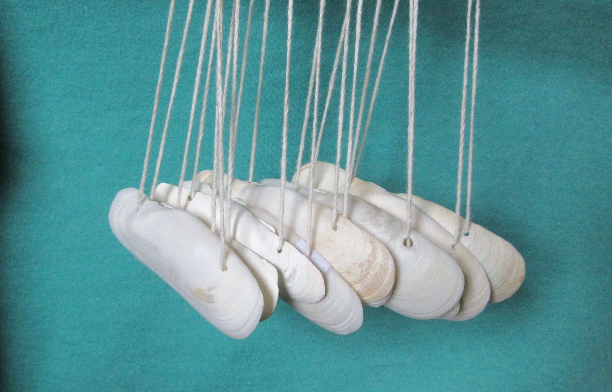 Function Follows Form: Assessing the Functionality of Shells and ...