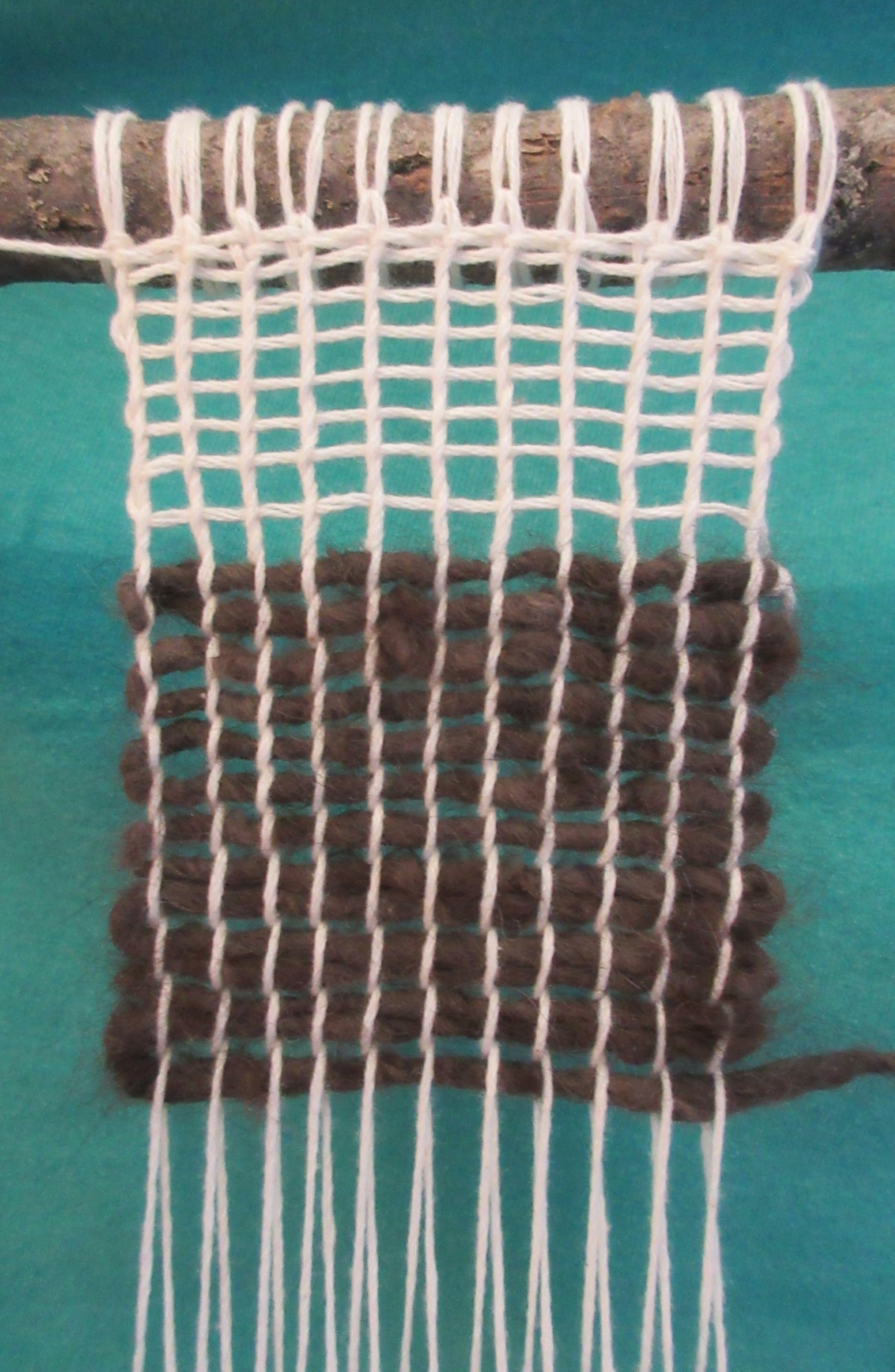 Function Follows Form: Assessing the Functionality of Shells and ...