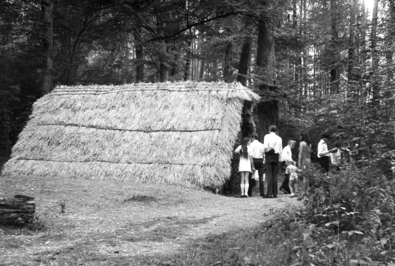 The Weald & Downland Living Museum’s Saxon Hall | The EXARC Journal