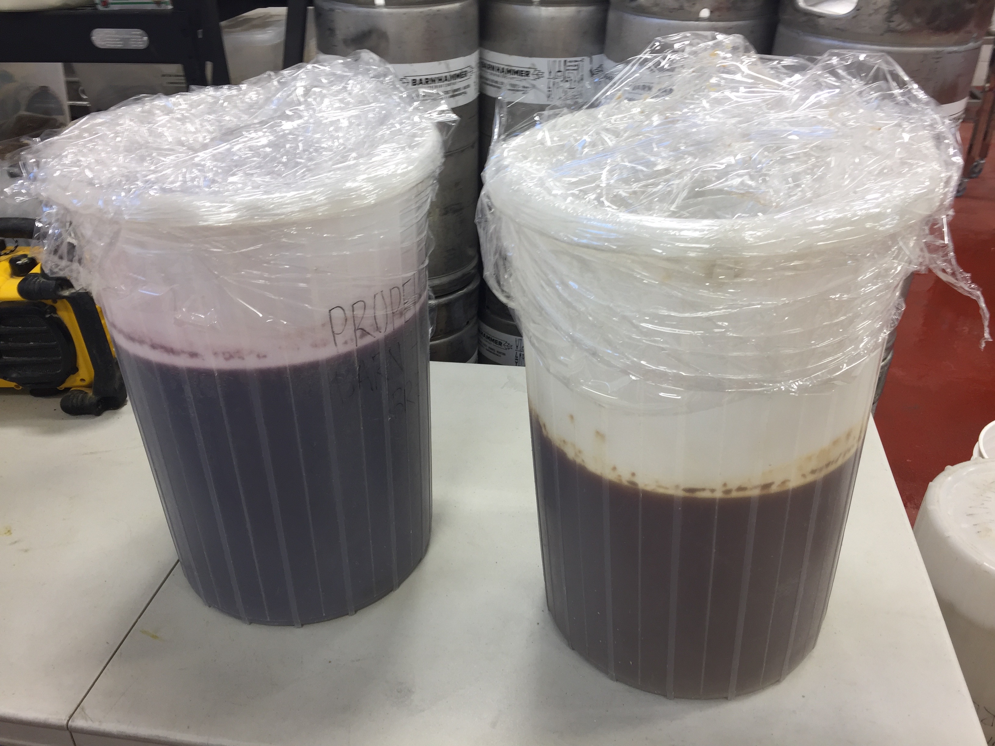 De Re Cervisia et Mulso, “on The Subject of Beer and Mulsum” | EXARC