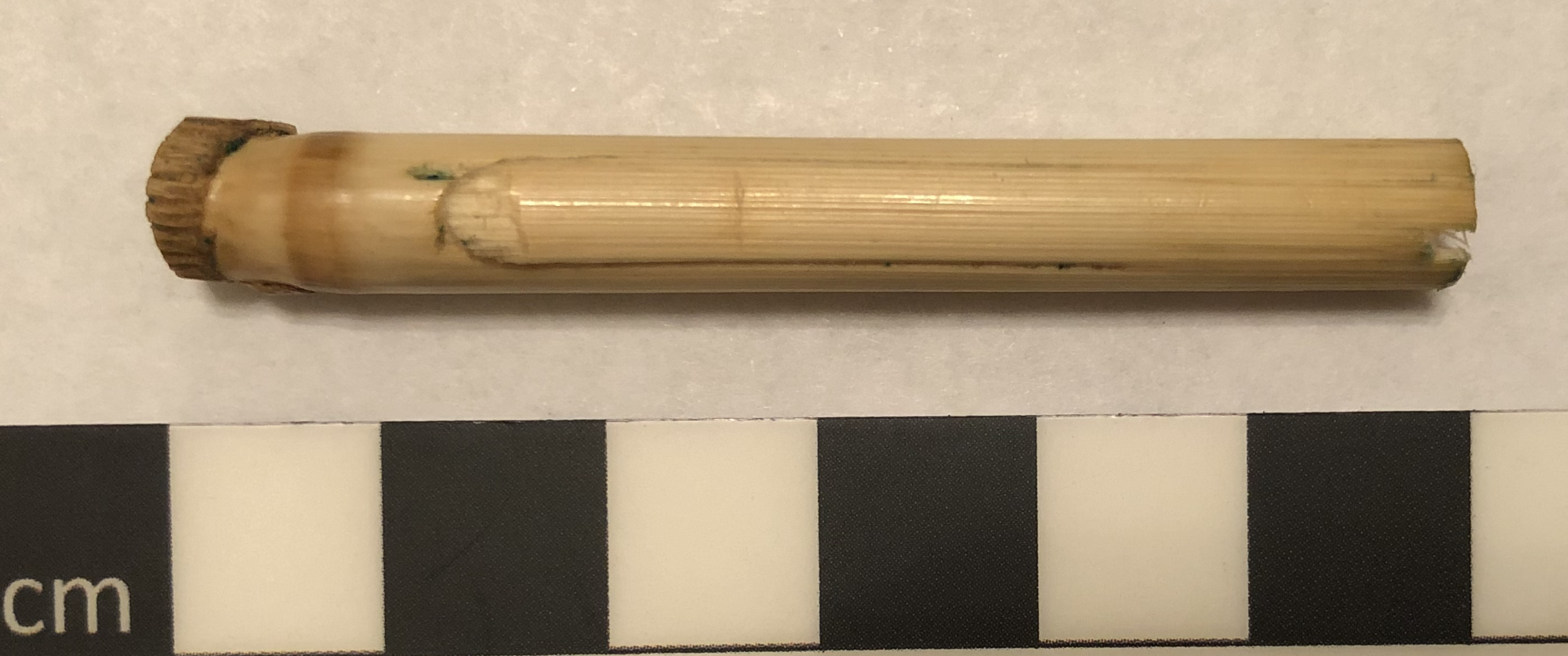 Early Medieval Bone Pipes: Understanding the Sounds of These ...