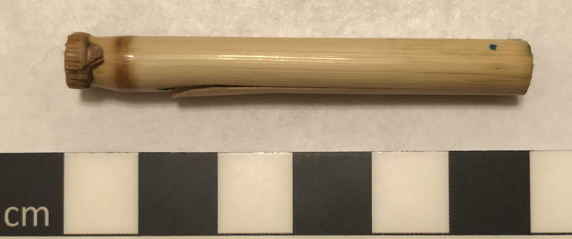 Early Medieval Bone Pipes: Understanding the Sounds of These ...