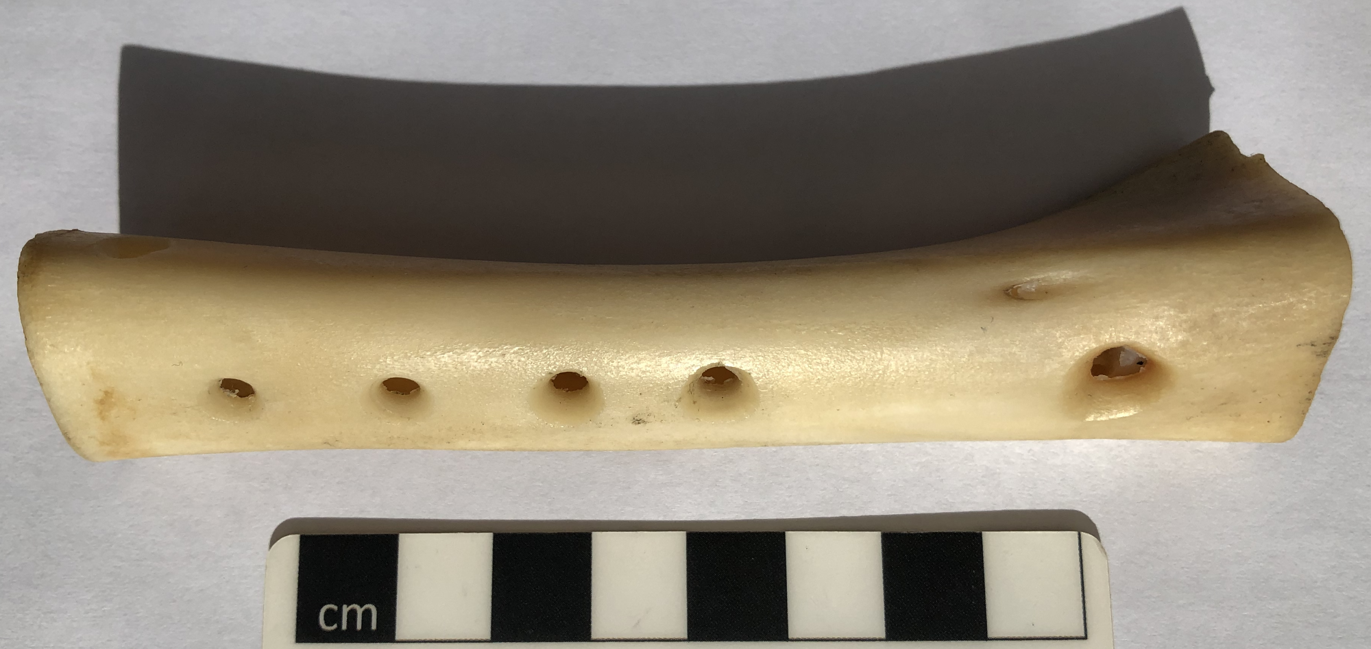 Early Medieval Bone Pipes: Understanding the Sounds of These ...