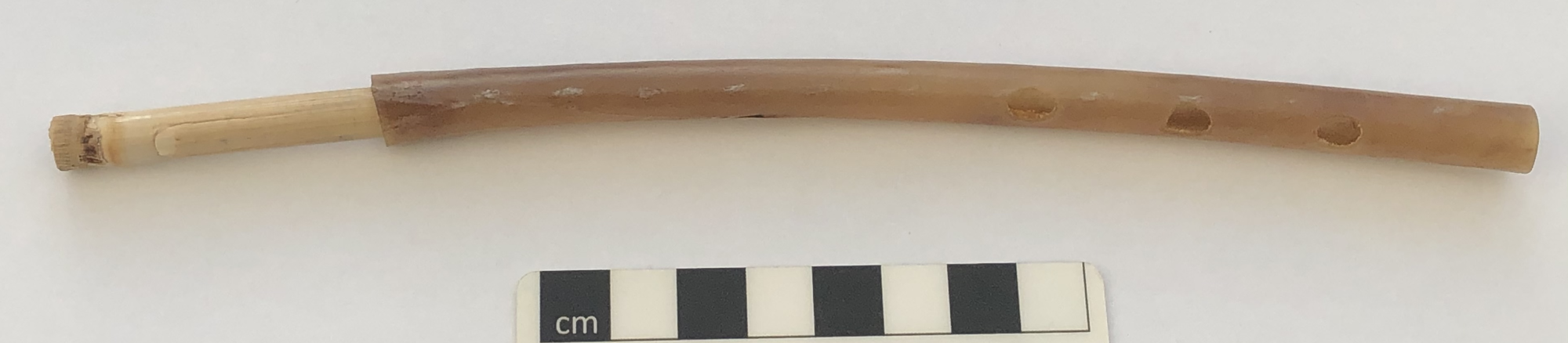 Early Medieval Bone Pipes: Understanding the Sounds of These ...