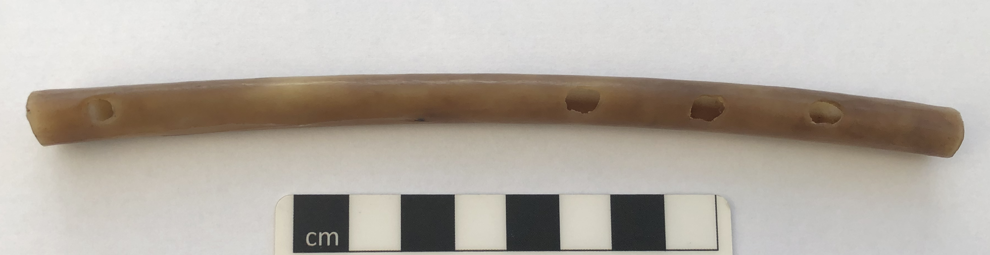 Early Medieval Bone Pipes: Understanding the Sounds of These ...