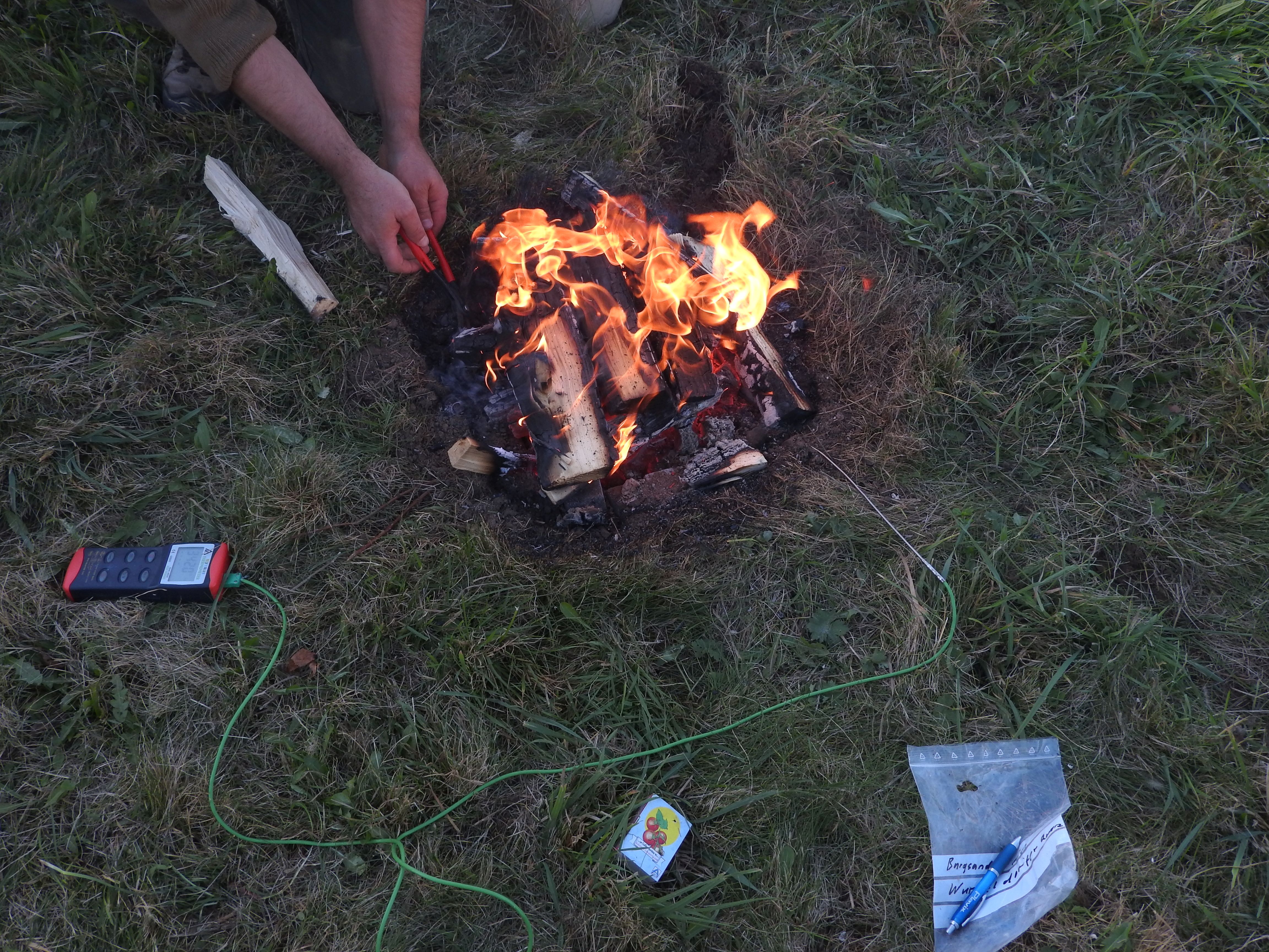 The Variation of Elastic Modulus and Changes of Structures and Mineral ...