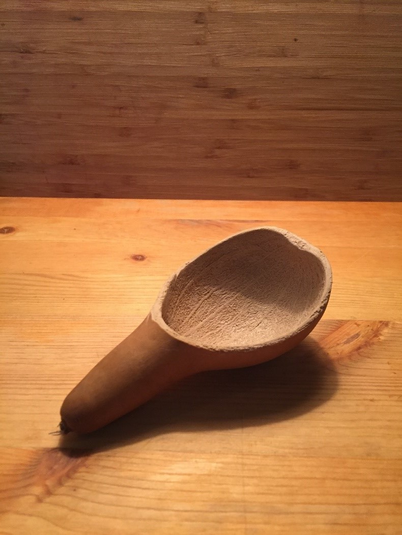 Bottle Gourd as an Implement for the Poor in Roman Italy | The EXARC ...