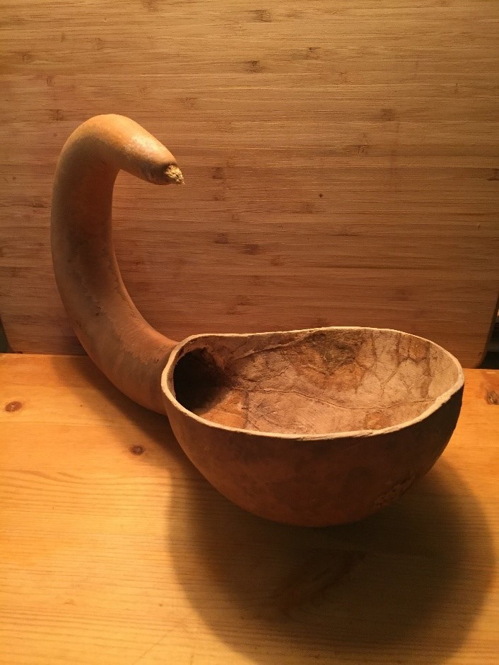 Bottle Gourd as an Implement for the Poor in Roman Italy | The EXARC ...