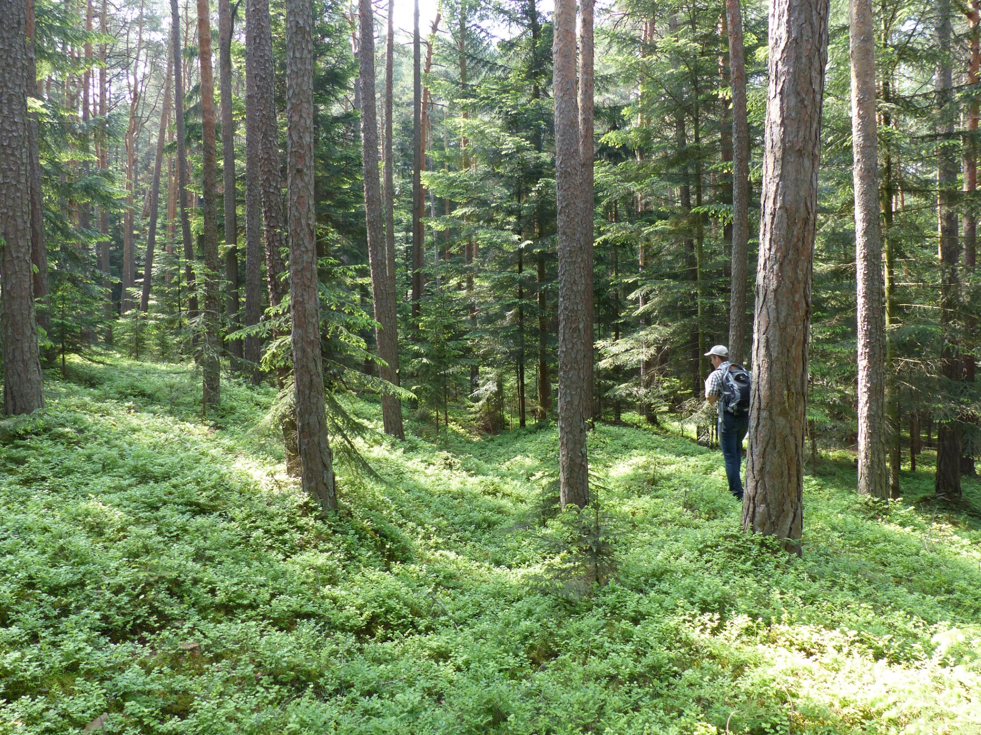 CRAFTER: Re-creating Vatin Pottery 2: an Examination of Clay Quality ...