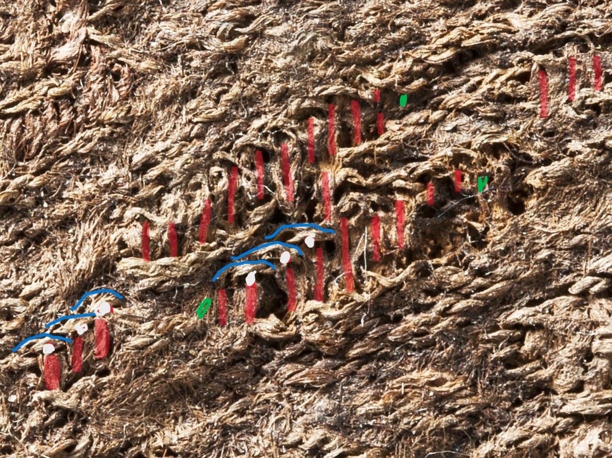 Different Types of Needles for Specific Uses? Experimental ...