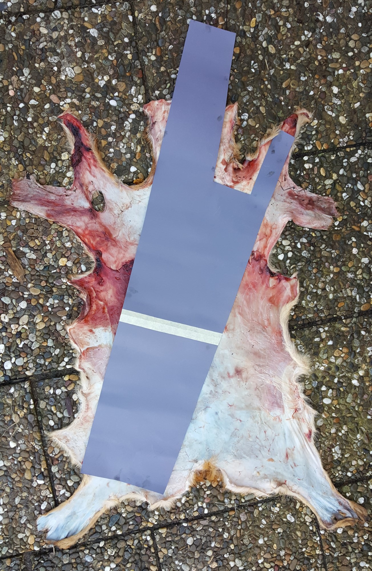 The Arrow Quiver of the Iceman Reconstruction Attempts and the Special ...