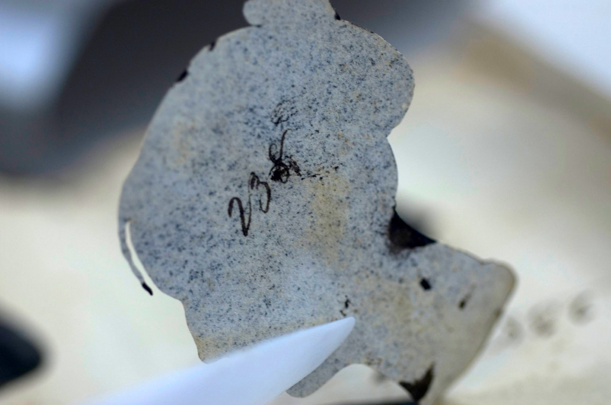 The Itinerant Artist: Portraiting Early America Using Scissors, Soot ...