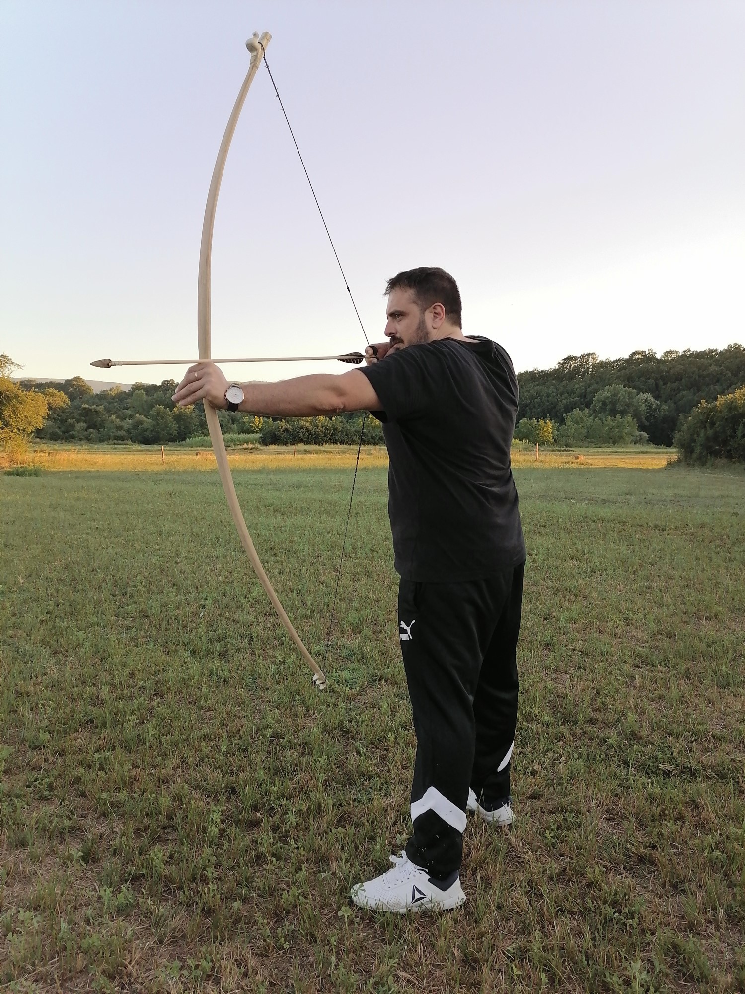 Archaeological Experiment on Reconstruction of the “Compound” Bow of ...