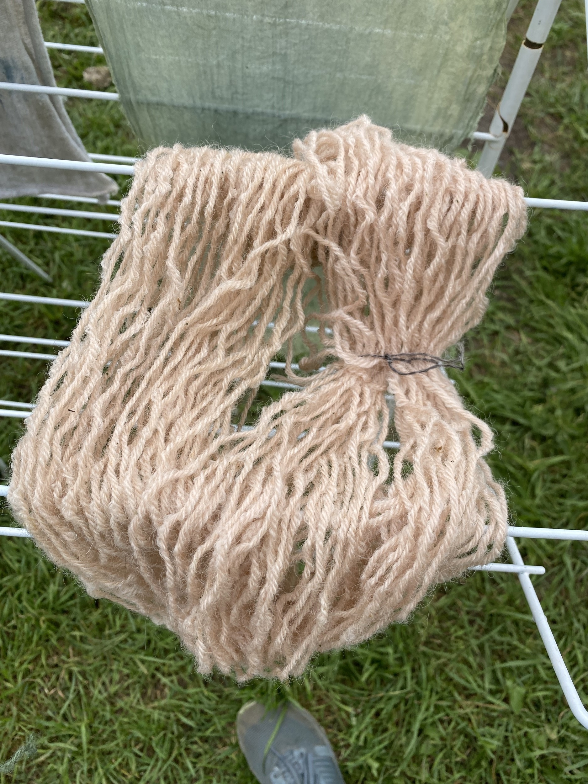 Adventures in Woad: Woad Dyeing in the Ancient, Medieval, and Modern ...