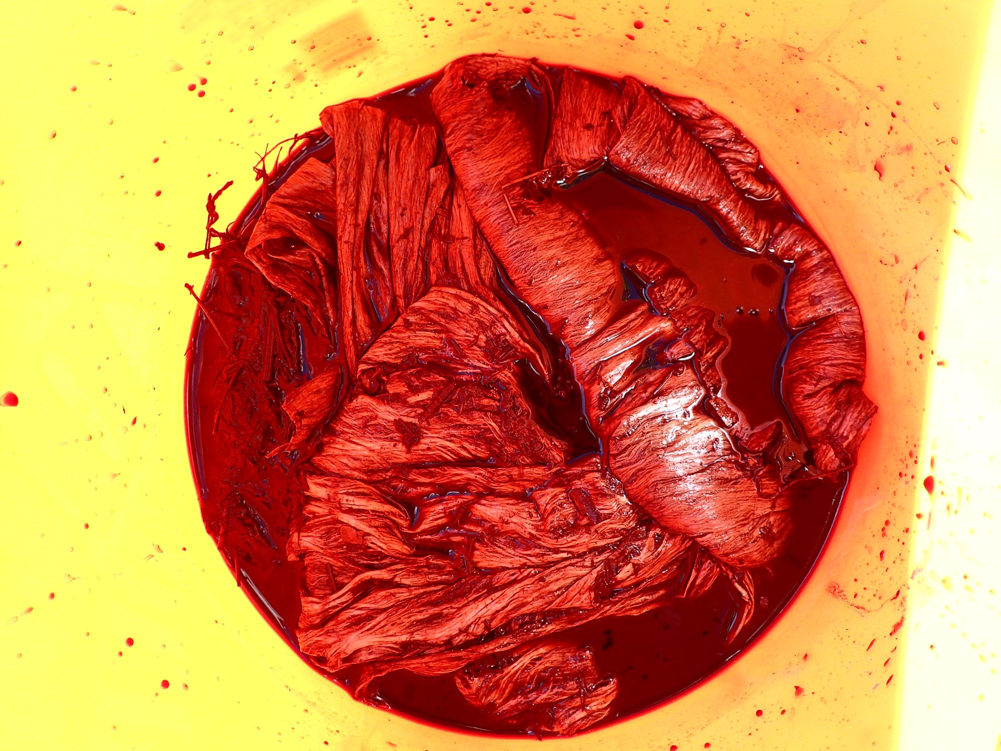 Roar Ege: The Lifecycle of a Reconstructed Viking Ship | EXARC