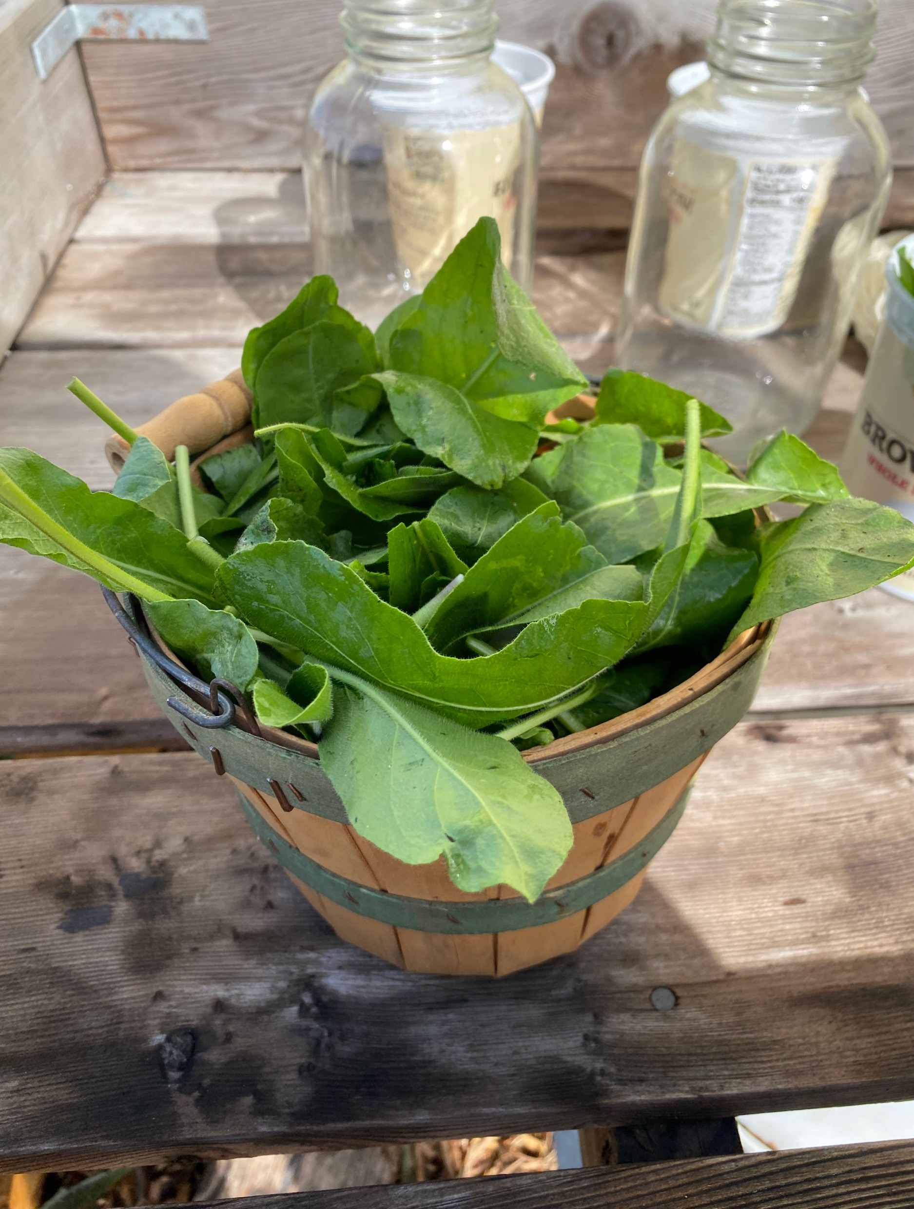 Adventures in Woad: Woad Dyeing in the Ancient, Medieval, and Modern ...