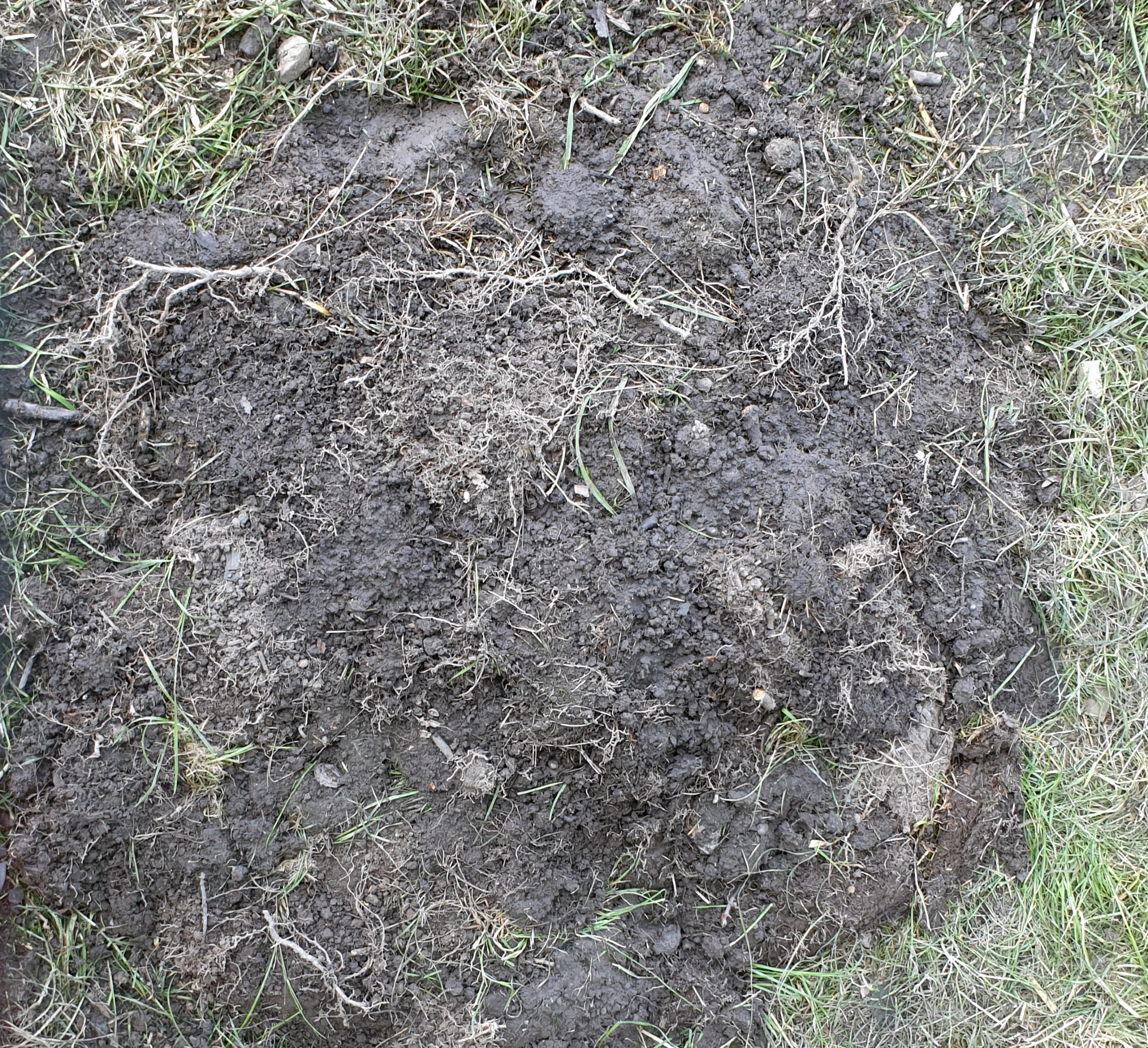 Peat Burns: The Methods and Implications of Peat Charcoaling | The ...