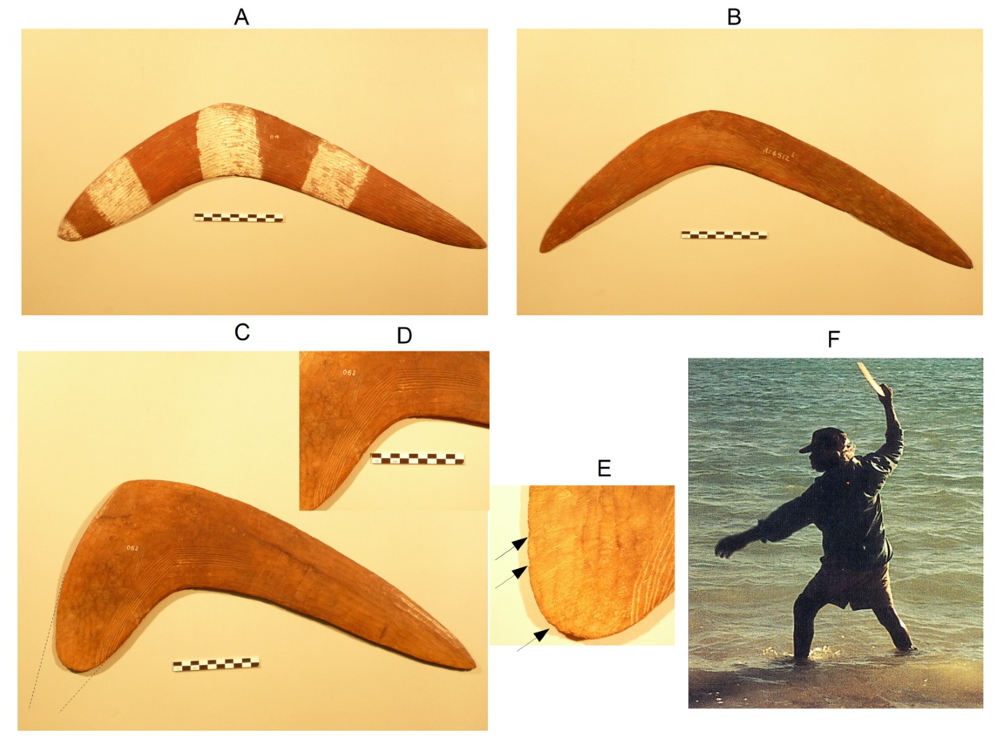 Traces of Manufacture, Use, Repair and Modification Observed on ...