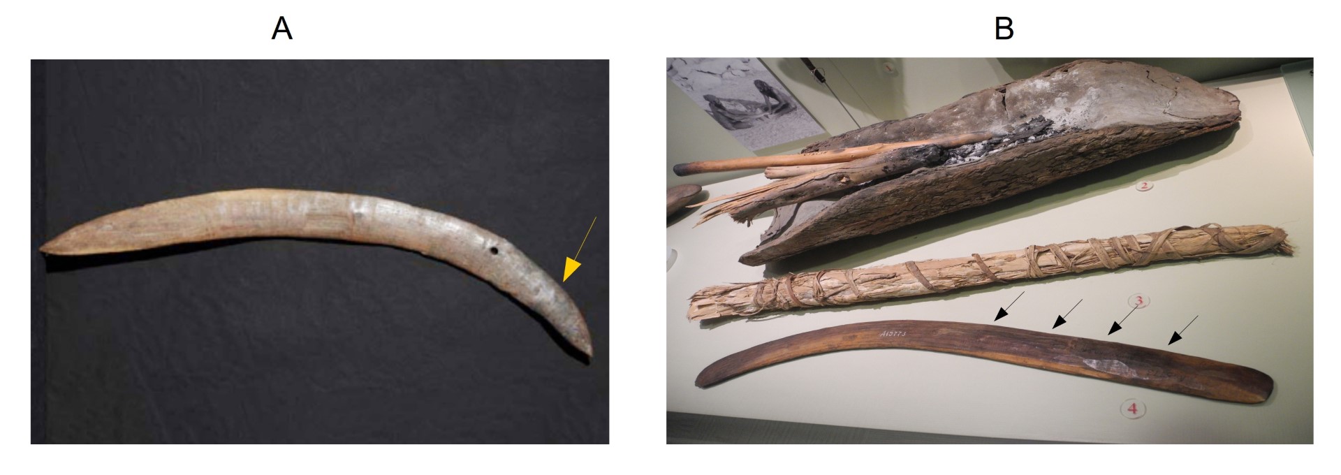 Traces of Manufacture, Use, Repair and Modification Observed on ...