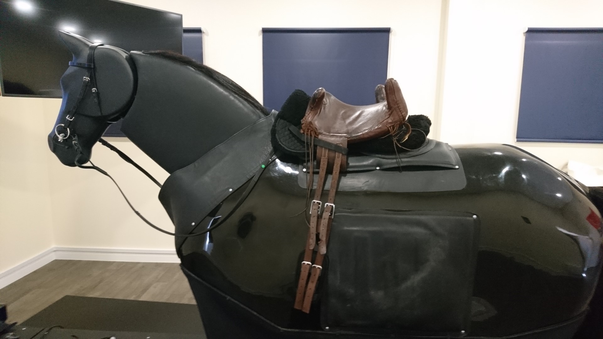 Alternative Reconstruction of a First Century AD Roman Cavalry Saddle ...