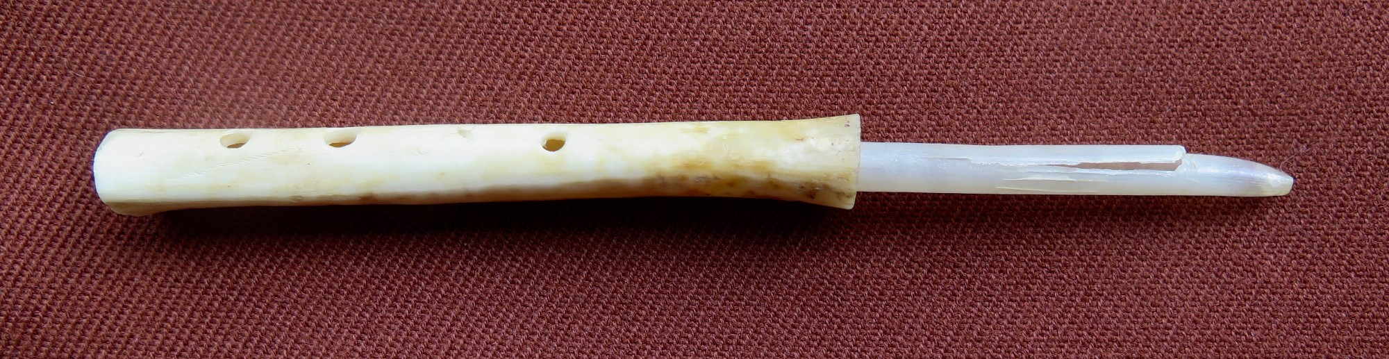 Acutus’ Eagle Bone and Two Bone Tubes with Holes Found in A Roman Fleet ...