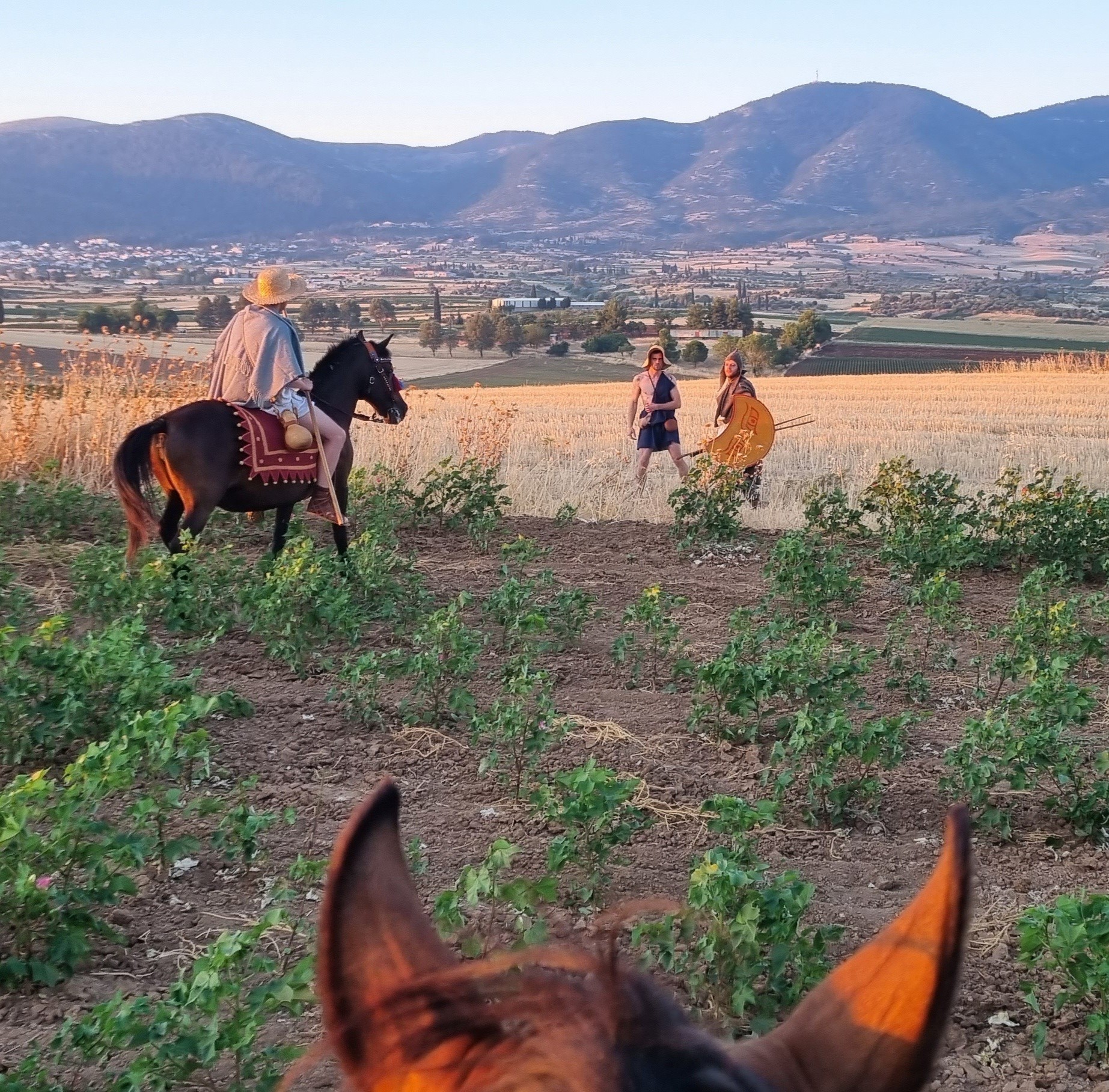 The 2,500th Anniversary of the Battle of Plataea, 26-31 July 2022 ...