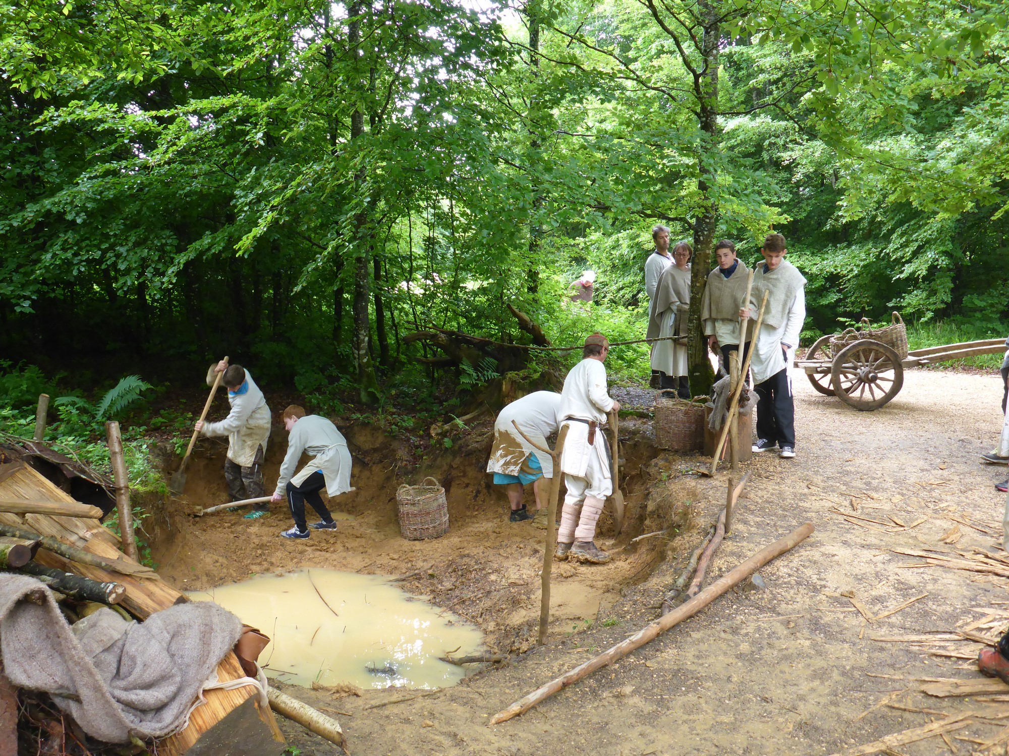 Scientific Profit through Daily Routine | The EXARC Journal