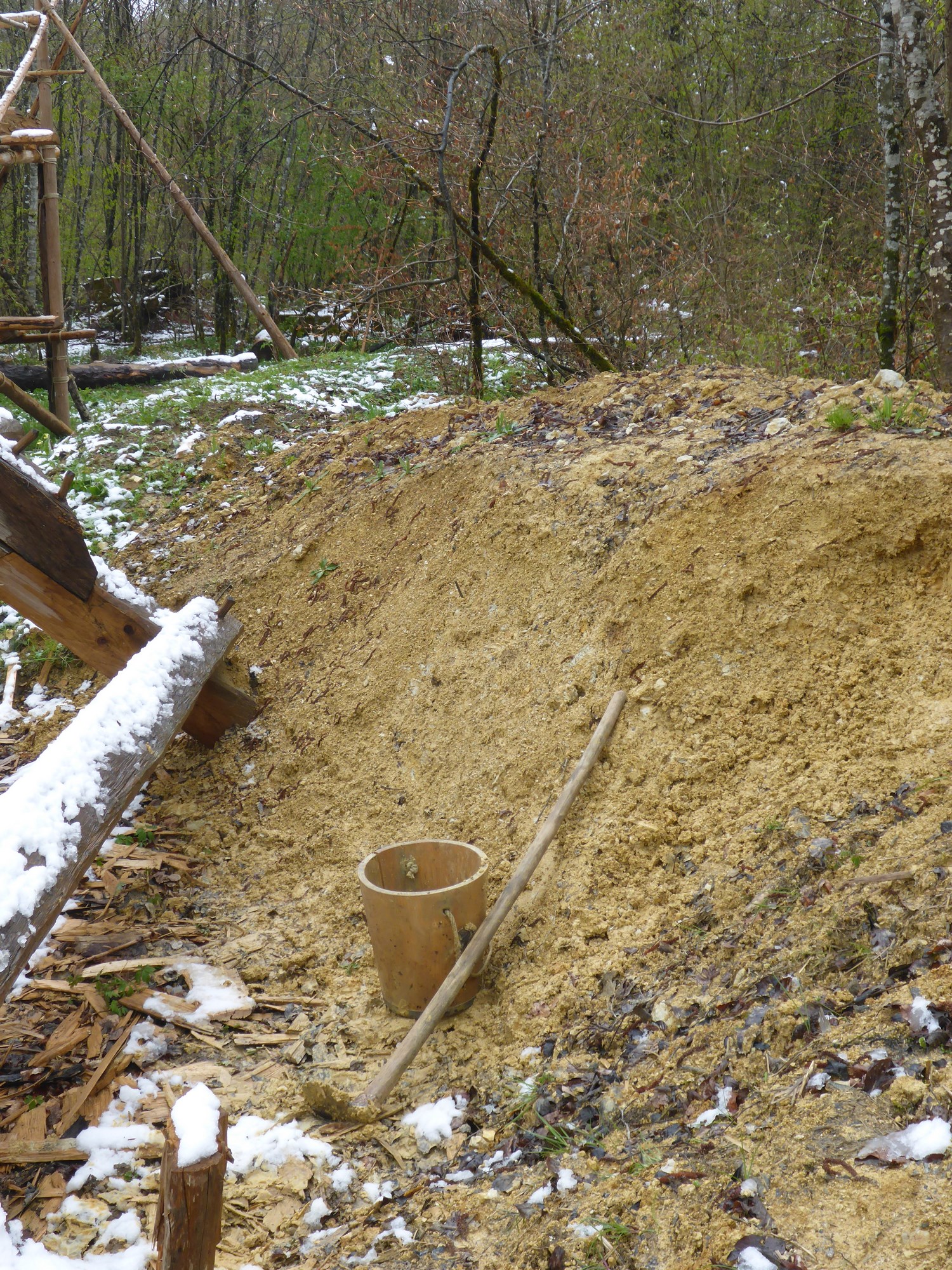 Scientific Profit through Daily Routine | The EXARC Journal