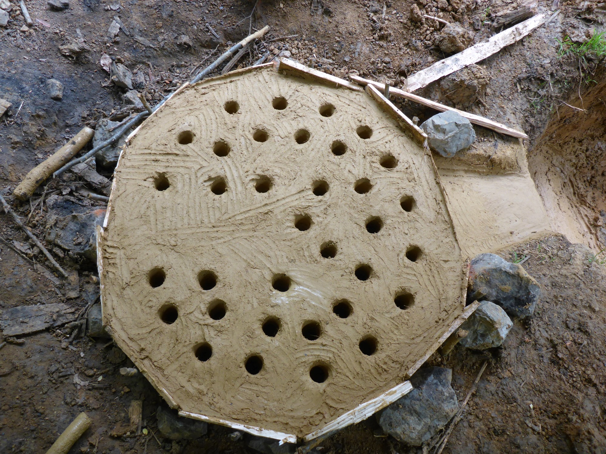 Scientific Profit through Daily Routine | The EXARC Journal