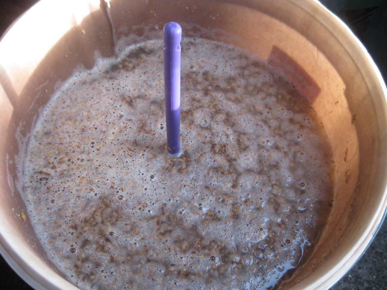 The Ancient Magic of Malt: Making Malt Sugars and Ale from Grain Using ...