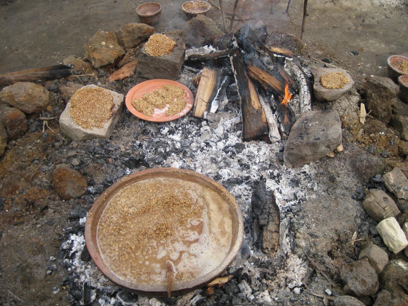 The Ancient Magic of Malt: Making Malt Sugars and Ale from Grain Using ...
