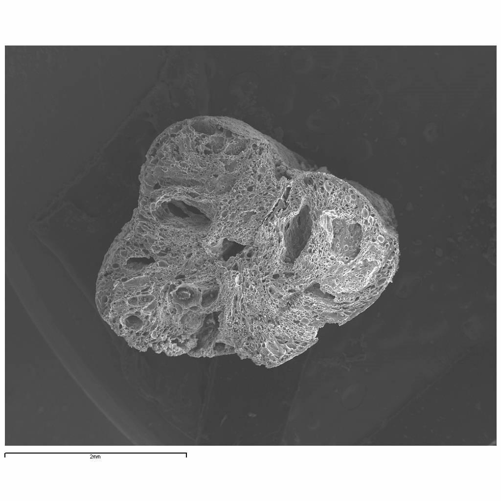 The Ancient Magic of Malt: Making Malt Sugars and Ale from Grain Using ...