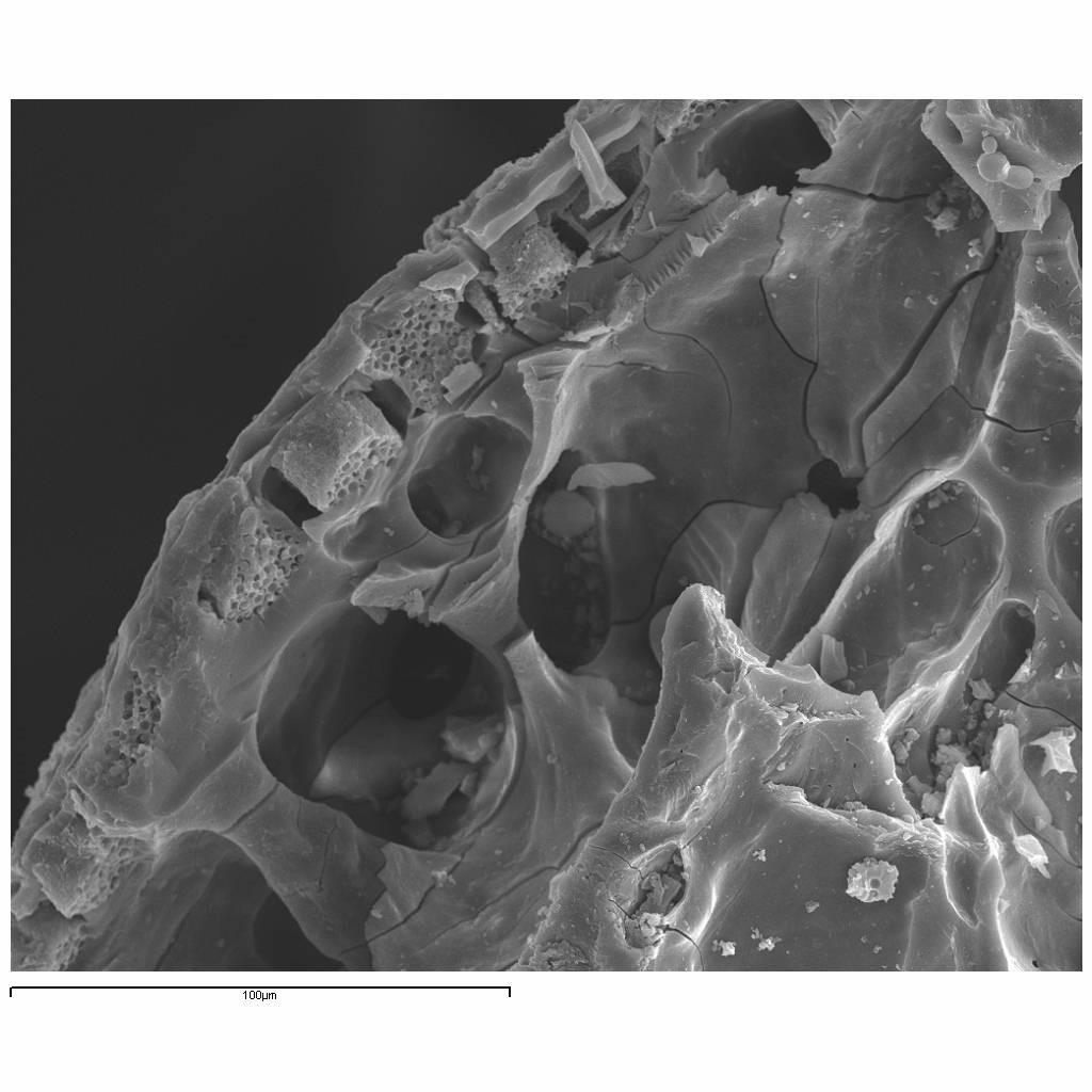 The Ancient Magic of Malt: Making Malt Sugars and Ale from Grain Using ...